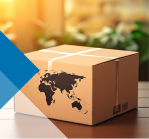 SARS CUSTOMS: IMPORTING GOODS AND AN ADVANCE PAYMENT NOTIFICATION GOES ...